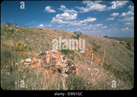 Alibates Flint Quarries National Monument in Texas preserves ancient ...
