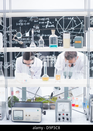 two researchers on the background of the laboratory Stock Photo - Alamy