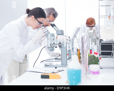 Broccoli under the microscope Stock Photo - Alamy