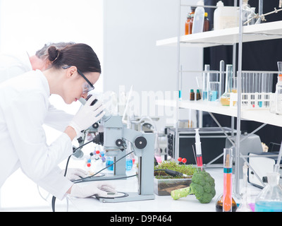 Broccoli under the microscope Stock Photo - Alamy