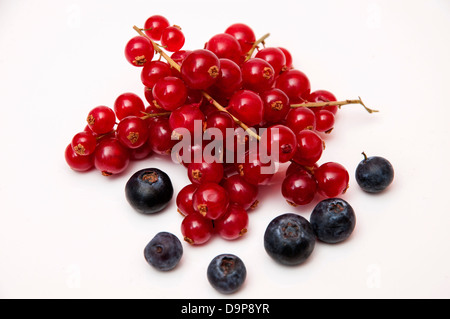 cranberry red color very sweet and good Stock Photo - Alamy