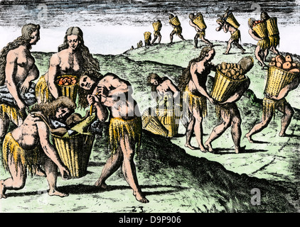 The Florida. 16th century. Timucua Indian village. Food transportation ...