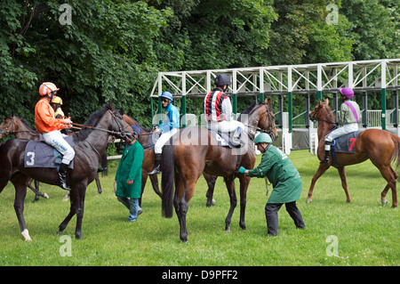 Horse racing Cologne Germany Stock Photo - Alamy