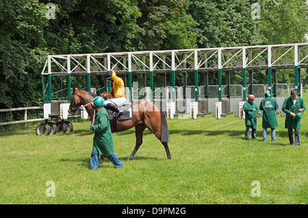 Cologne horse racing track Germany Stock Photo - Alamy
