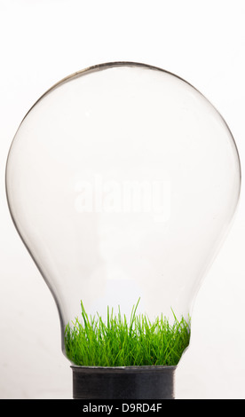 Grass Growing Inside Light Bulb Isolated on White Background. Light ...