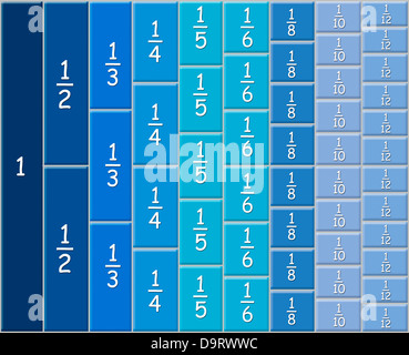 Graphic illustrating fractions from a whole through to one twelfth ...