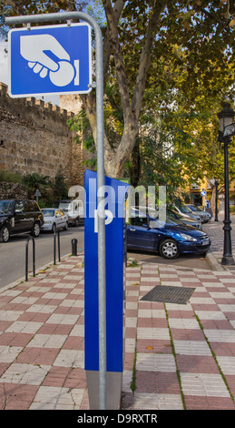 Urban parking sign near old tree on green city street in spring season ...