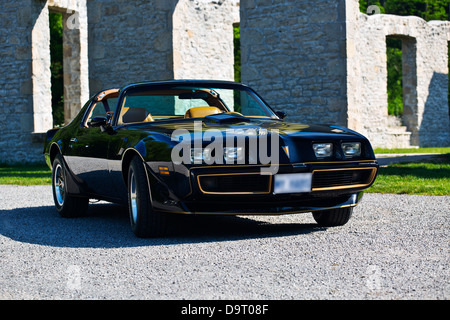 1979 Pontiac Special Edition Trans Am Stock Photo - Alamy