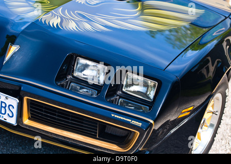 1979 Pontiac Special Edition Trans Am Stock Photo - Alamy