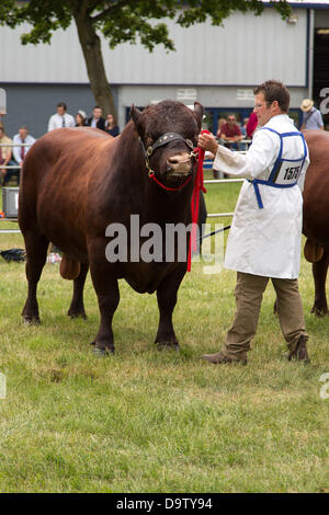 Red Bull Ring, June 26th 2025. Formula 1 MSC Cruises Austrian Grand ...