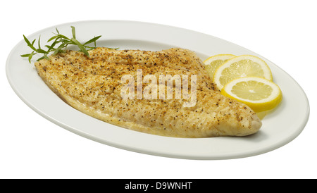 catfish fillet on white plate, fresh raw catfish menu freshwater fish ...