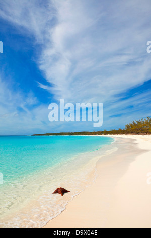 Grand Bahama, Bahamas, Caribbean Stock Photo - Alamy
