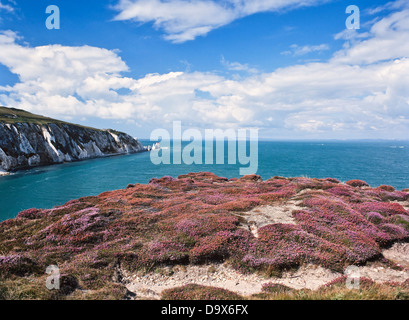 The Needles chalk cliffs coastline view, Isle of Wight, UK, bright ...