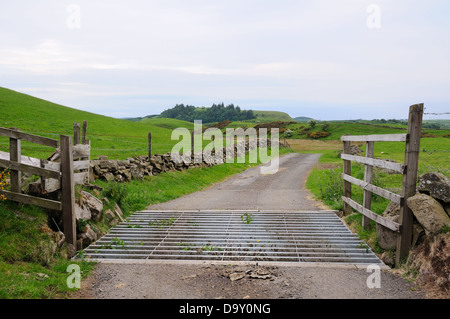 Cattle grid, on a country road, England, UK Stock Photo - Alamy