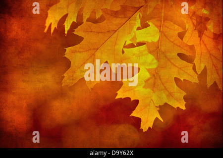 grunge background with autumn leaves Stock Photo - Alamy