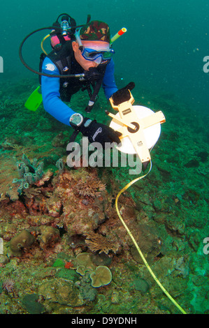 Fisheries conducting a reef management and biodiversity analysis ...