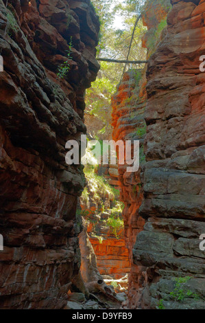 Alligator Gorge, Mt Remarkable NP, South Flinders Range Stock Photo - Alamy