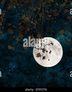 full moon collage with paper texture, seagulls flying Stock Photo - Alamy
