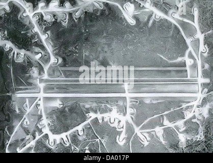 Jackson Airfield in New Guinea was a crucial air base during World War ...