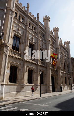 consell de mallorca, council of mallorca, carrer del palau reial, palma ...