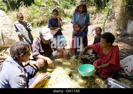 A traditional "mumu" lunch, Kemase village, Easten Highlands Province ...