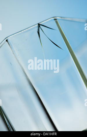 Chipped broken edge of drinking glass tumbler showing three tri stress ...