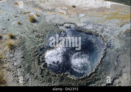 Ear Spring in the Upper Geyser Basin is named for its shape. It often ...