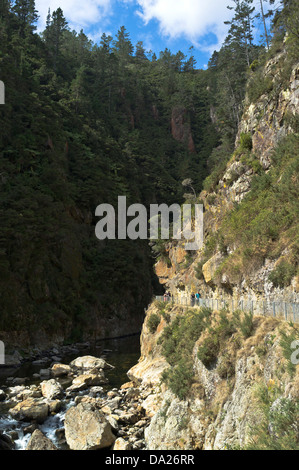 dh Waitawheta River KARANGAHAKE GORGE NEW ZEALAND Walking couple on ...