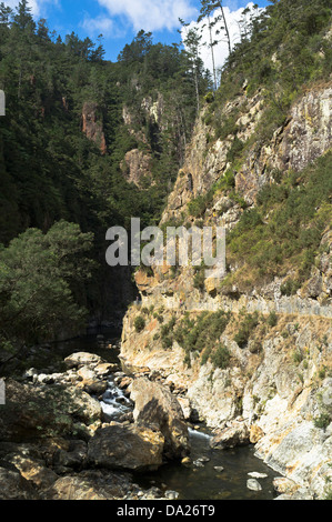 dh Waitawheta River KARANGAHAKE GORGE NEW ZEALAND Walking couple on ...