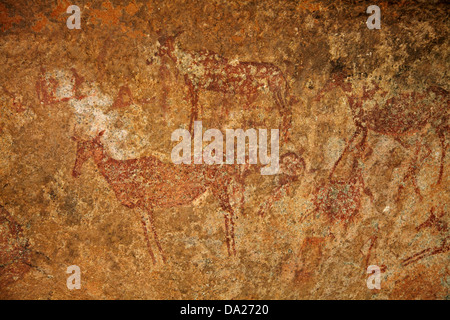 Africa Bulawayo Matobo Rock Paintings Zimbabwe Stock Photo - Alamy