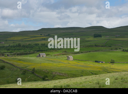 Farmland in North Stainmore, Cumbria, England UK Stock Photo - Alamy
