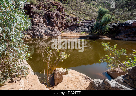 A billabong (water hole) in the ruggedly beautiful Northern Flinders ...