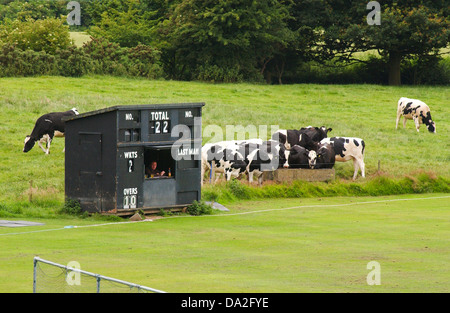 Welsh Frankton Cricket Club, Hardwick Hall, Shropshire, England Stock ...