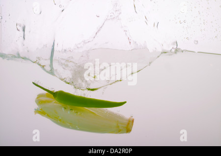 Chicory in water Stock Photo - Alamy