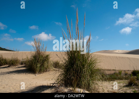 Near the northernmost place in mainland New Zealand magnificent sand ...