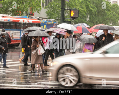 Pedestrians in Rainstorm under Brollies, NYC Stock Photo - Alamy