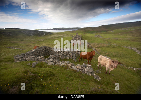 Sleiteil (Sletell) cottages deserted post clearance village, Skerray ...