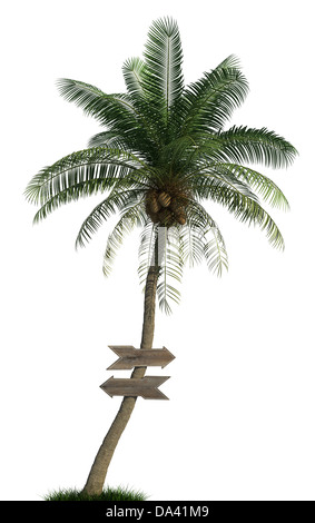 Tree and arrows Stock Photo - Alamy