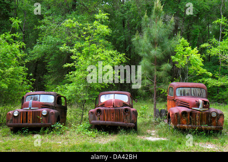 Crawfordville Florida,rusted rusty rusting junked abandoned antique car cars automobile ...
