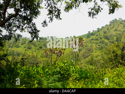 Filfil, Eritrea, Africa Stock Photo - Alamy