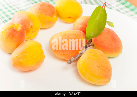 Fresh apricot big beautiful closeup Stock Photo - Alamy