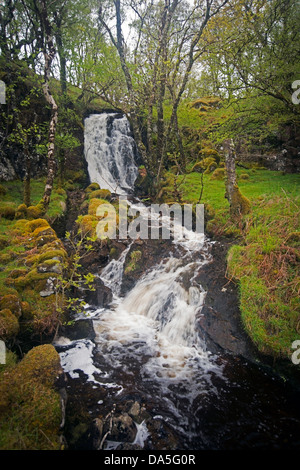 Waterfall, Loch Spelve, Isle of Mull, Argyll, Scotland Stock Photo - Alamy