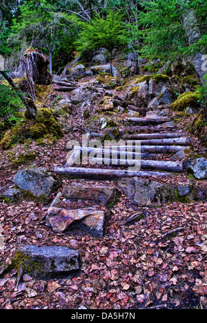 The Chilkoot Trail in Alaska is a historic route once used by ...