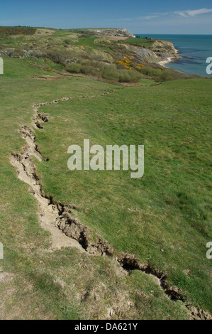 Cracks appear in a field above the cliffs at Osmington Mills. Part of ...