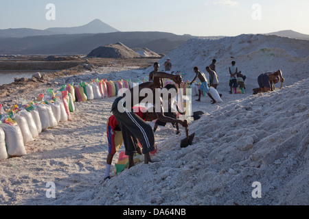 Salt production, saltwork, Afrera, lake, Africa, salt, Ethiopia Stock ...