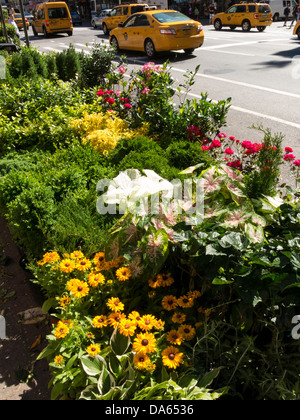 Flower District in Chelsea, NYC Stock Photo - Alamy