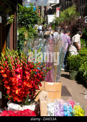 Chelsea NYC Flower District Stock Photo - Alamy