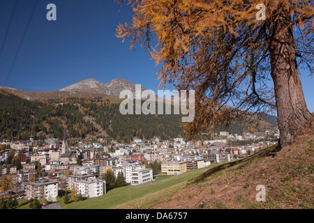 Autumn, canton, Graubünden, Grisons, Switzerland, Europe, mountain ...