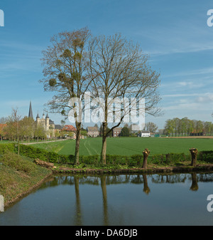 Limburg, Netherlands, Europe, Geulle aan de Maas, Fruit trees, bloom ...