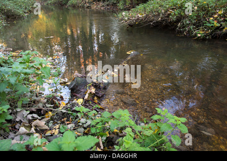 Fish Pass Bypass Channel Structure with Sluice and Level Gauge at Byron ...